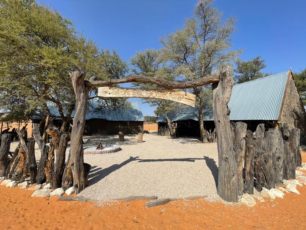 Accommodation